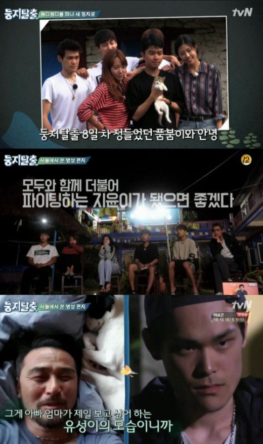 ‘둥지탈출 품디붐디 떠나 새 둥지로 ‘부모들 영상편지에 눈물 종합 스퀘어 카테고리